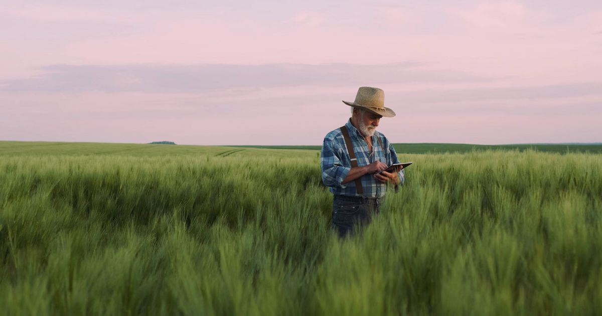 Precision agriculture: How to produce more with less?