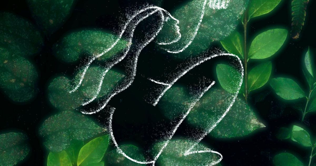 Second edition of the Julius Baer Art Prize for Latin American Female ...